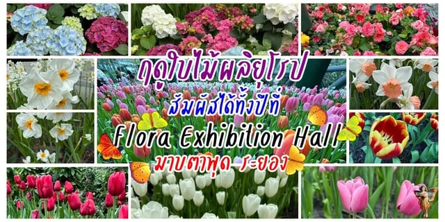 ฤดูใบไม้ผลิยุโรป สัมผัสได้ทั้งปีที่ Flora Exhibition Hall มาบตาพุด ระยอง