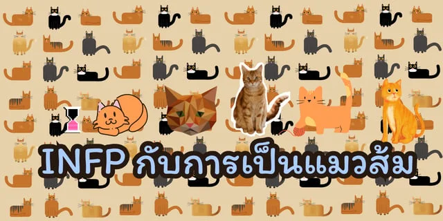 INFP กับการเป็นแมวส้ม
