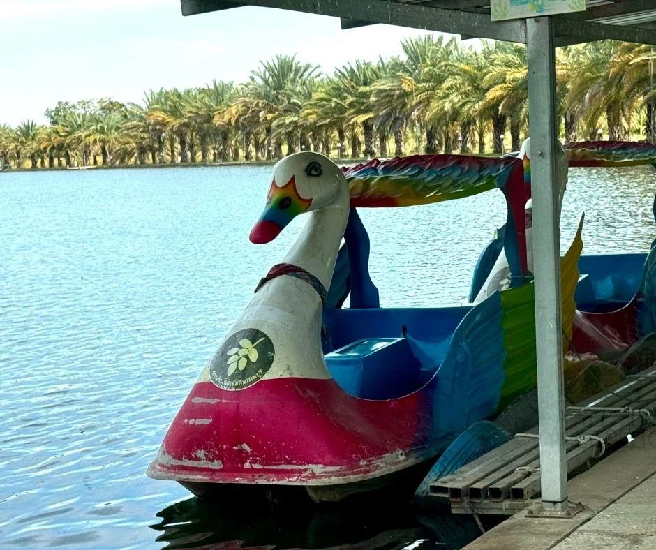 หนุ่ม-สุทน ชวนนั่งจิบกาแฟริมบึง "Date Farm Cafe" อ.ศรีประจันต์ จ.สุพรรณบุรี