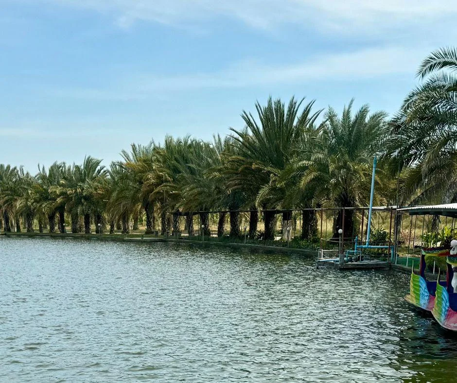 หนุ่ม-สุทน ชวนนั่งจิบกาแฟริมบึง "Date Farm Cafe" อ.ศรีประจันต์ จ.สุพรรณบุรี