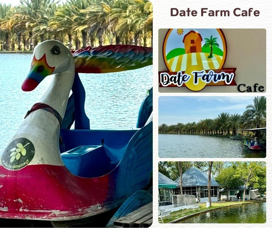 หนุ่ม-สุทน ชวนนั่งจิบกาแฟริมบึง "Date Farm Cafe" อ.ศรีประจันต์ จ.สุพรรณบุรี