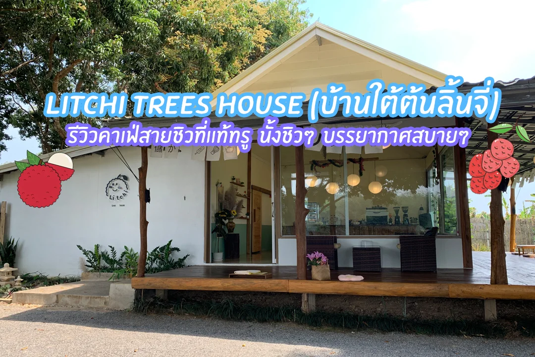 Litchi Trees House บ้านใต้ต้นลิ้นจี่ รีวิวคาเฟ่สายชิวที่เเท้ทรู