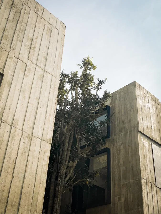 Cafe Patchwork: สัมผัสประสบการณ์คาเฟ่สุดชิค ใกล้ MRT บางอ้อ