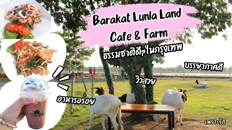 รีวิว Barakat Lunla Land Cafe & Farm คาเฟ่ฟีลธรรมชาติที่ห้ามพลาดในกรุงเทพ