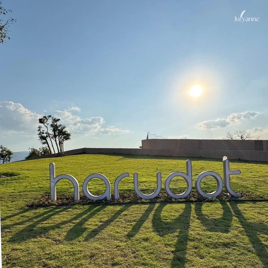 คาเฟ่เปิดใหม่เขาใหญ่! Harudot Cafe by Nana Roaster วิวเขาใหญ่