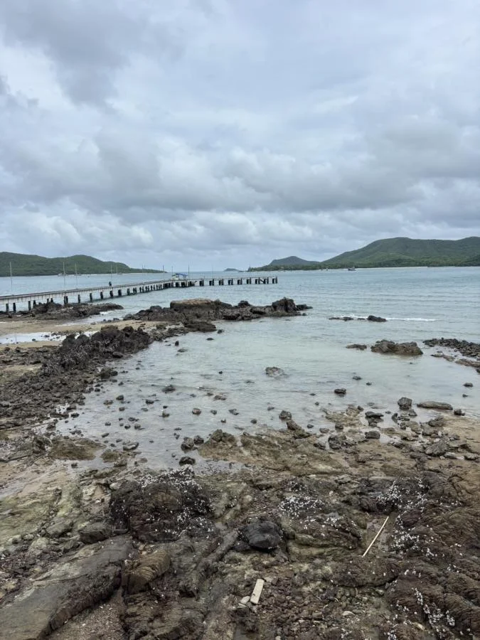 รีวิวคาเฟ่ติดทะเล Palyn Café @ สัตหีบ ชลบุรี