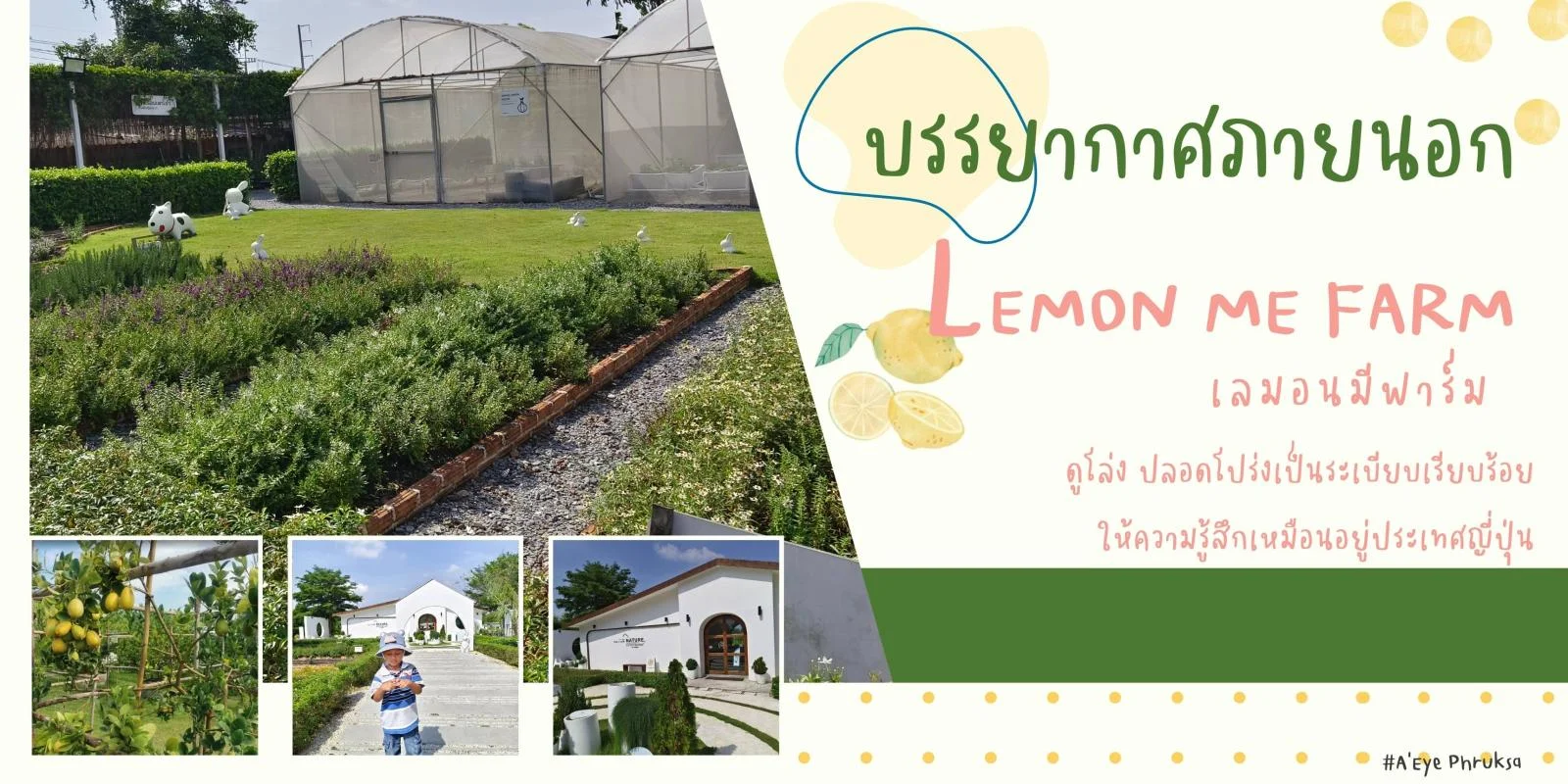 เช็คอิน ..คาเฟ่สวนเลมอน นครปฐม "Lemon me farm" สวย Mood ดี