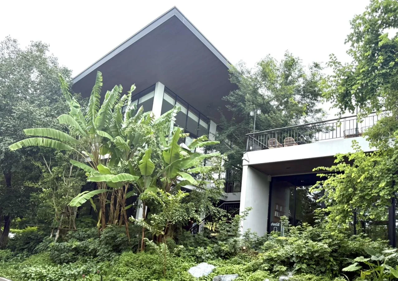 นั่งจิบกาแฟชิล ๆ "Timber Tales Cafe and Bistro khaoyai"
