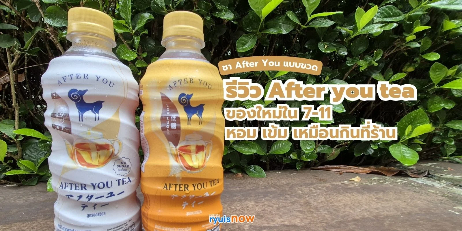 รีวิว After you tea ในเซเว่น หอม เข้ม เหมือนกินที่ร้าน