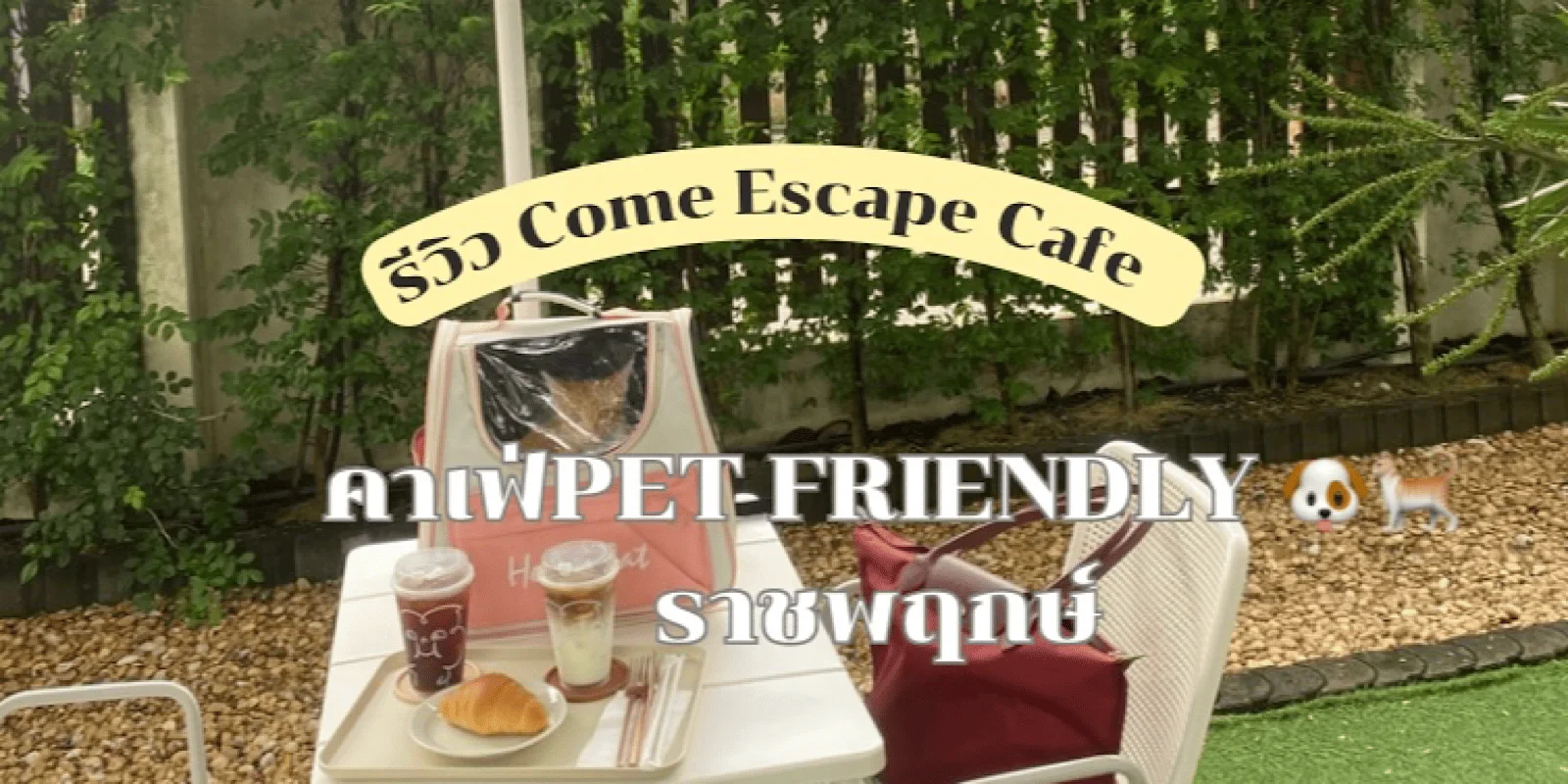 รีวิว Come Escape Cafe คาเฟ่ Pet Friendly ราชพฤกษ์