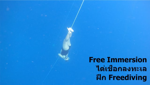 ️คลิป : Free Immersion ไต่เชือกลงทะเล ฝึก Freediving ครั้งแรก ช่วยการ ...