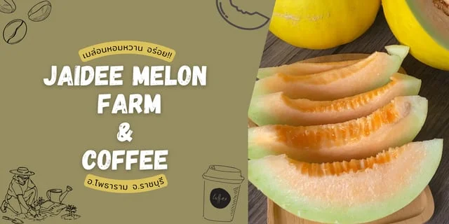 รีวิว ใจดีเมล่อนฟาร์ม Jaidee melon&coffee โพธาราม ราชบุรี หวานกรอบ อร่อย ปลอดสารพิษ มีคลิป