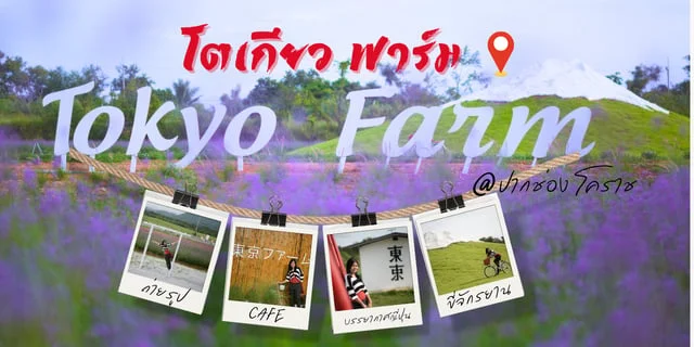 โตเกียว ฟาร์ม Tokyo farm ชมสวนดอกไม้สไตล์ญี่ปุ่น พิกัดปากช่อง โคราช มี ...
