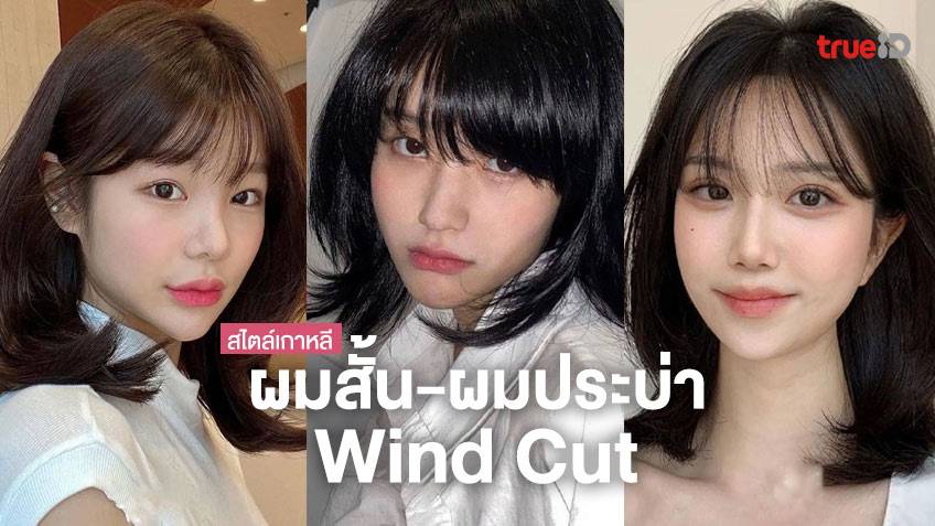 ไอเดียทรงผมสั้น ทรงผมสั้นประบ่า 2022 Wind Cut สวยสไตล์เกาหลี
